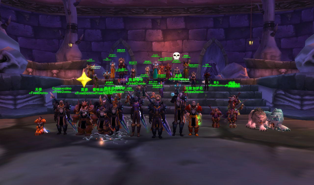 [Naxx战报][PVP][一区][奥达曼][联盟公会 Freedom 全服FD NAXX死骑区最后boss 4DK 11月14日2点49分] >> NGA玩家社区