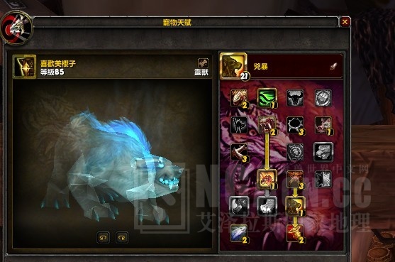 [讨论] CTM 4.1猎人PVP必备宏 键位参考 天赋 雕纹 宠物选择天赋 冲龙组合推荐 附魔宝石精通选择 S9结算视频放出 NGA玩家社区