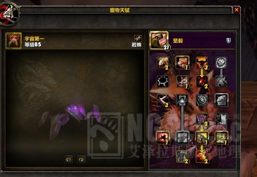 [讨论] CTM 4.1猎人PVP必备宏 键位参考 天赋 雕纹 宠物选择天赋 冲龙组合推荐 附魔宝石精通选择 S9结算视频放出 178