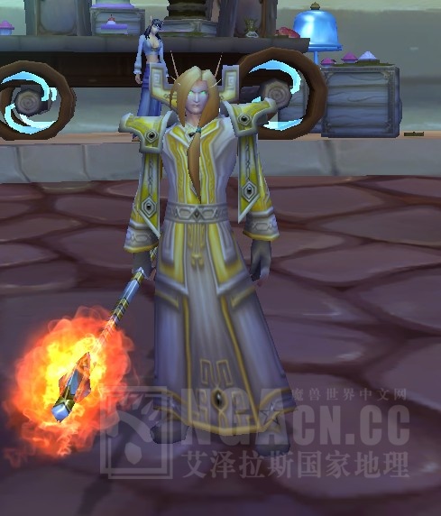 [布甲] 牧师伪T0幻化~还原度还真高 NGA玩家社区