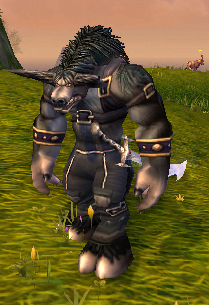 [MOP] MOP稀有狩猎指南(内有路径版npcscan，本人有的玩具的测评稍已补完) NGA玩家社区