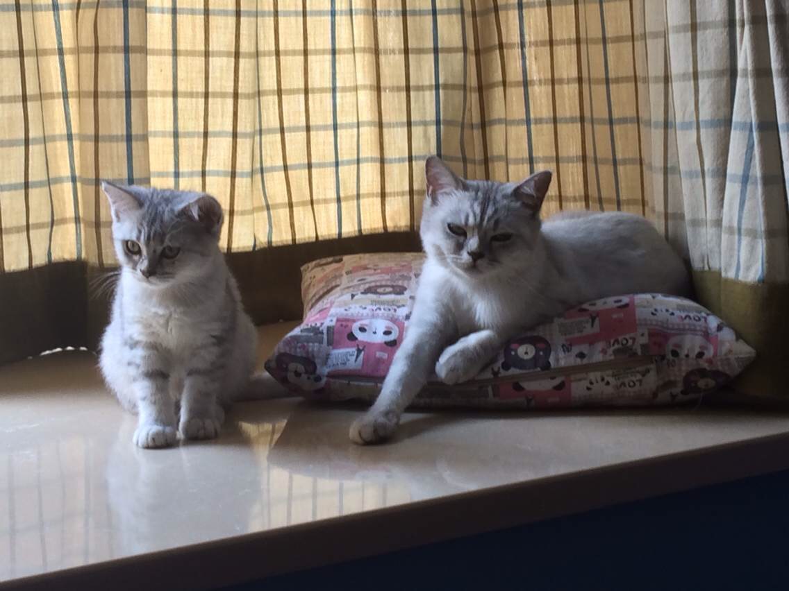 [PVE]25H魔古山宝库神牧酱油开荒日记+高清视频