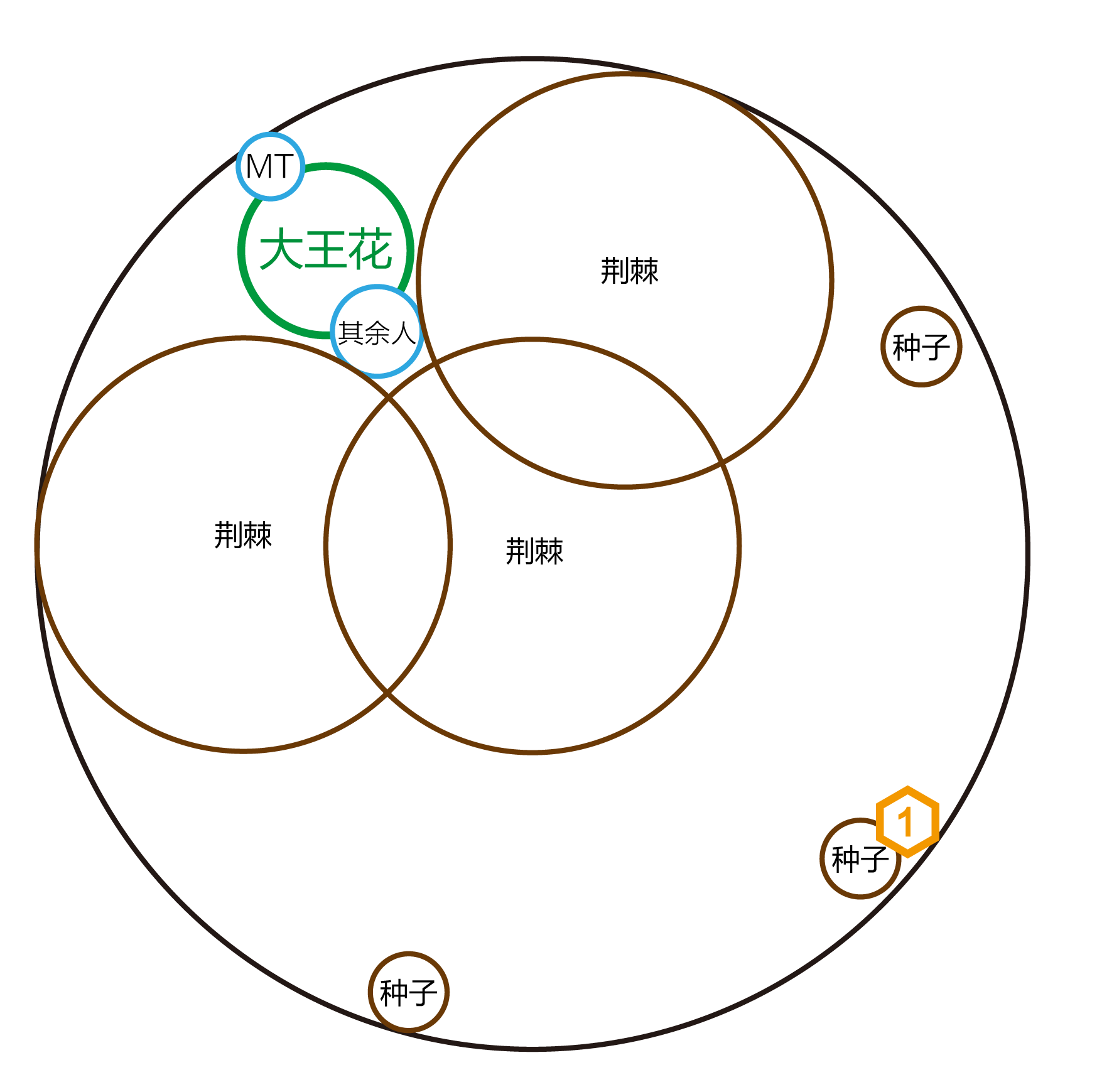 [视频攻略]巴哈姆特大迷宫零式T6-T9详细视频图文攻略[全部完工] NGA玩家社区