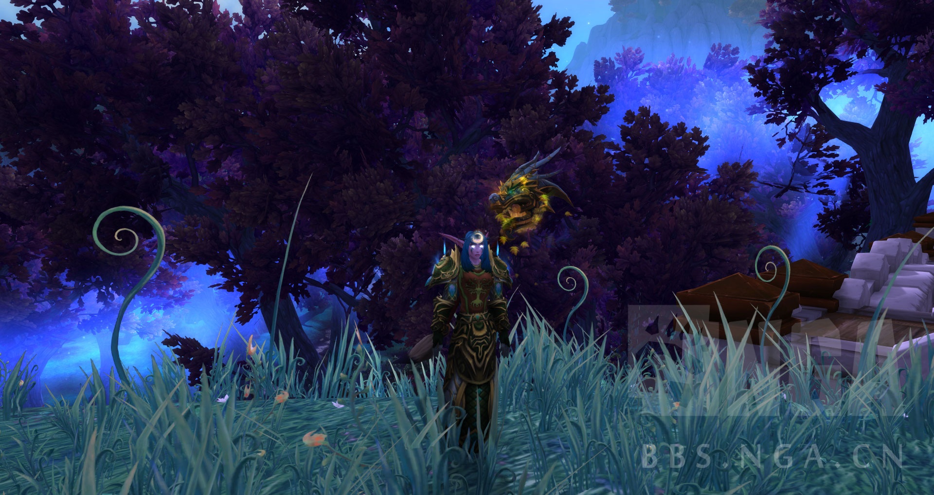 [皮甲] 等待了近20天，终于完成了铭文青龙杖 NGA玩家社区