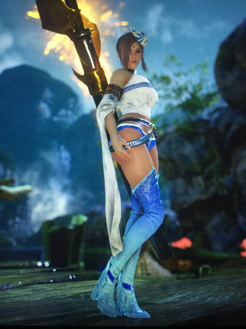 关于艾露猫的选择问题，求教(太刀 NGA玩家社区