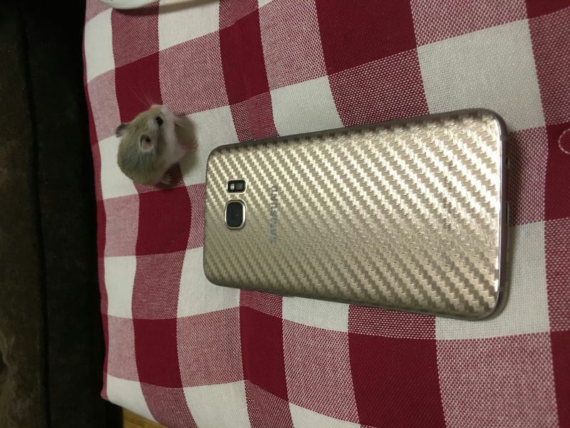 [手机]手机壳什么弱爆了，背部贴膜才是s7e最好的选择 NGA玩家社区