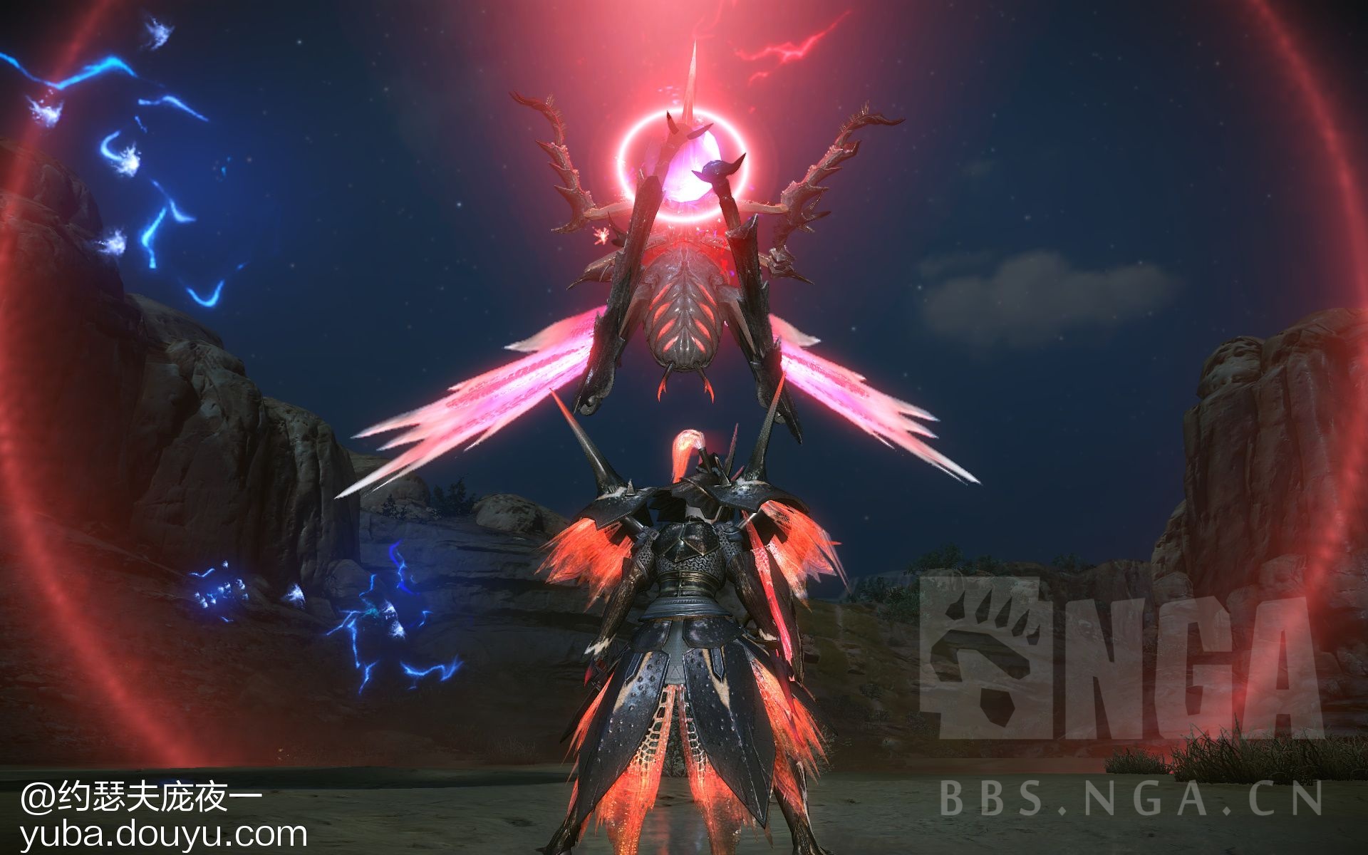 [基础搬运] 绯甲虫！Poikilos Lightenna! NGA玩家社区