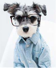 [瞎扯淡] 如何从玄学角度来看待今天SS VS EDG！ NGA玩家社区