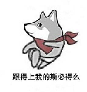 各位pong友，求一波Quin秦先生的狗头表情包 NGA玩家社区