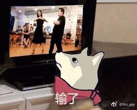 各位pong友，求一波Quin秦先生的狗头表情包 NGA玩家社区