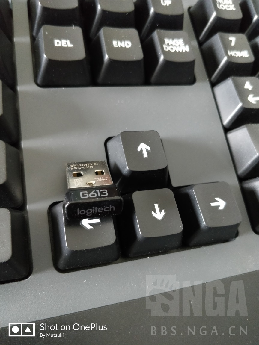 [机械键盘] [多图预警] 简评和对比两把低价无线机械键盘：罗技G613和IKBC DC-108 NGA玩家社区