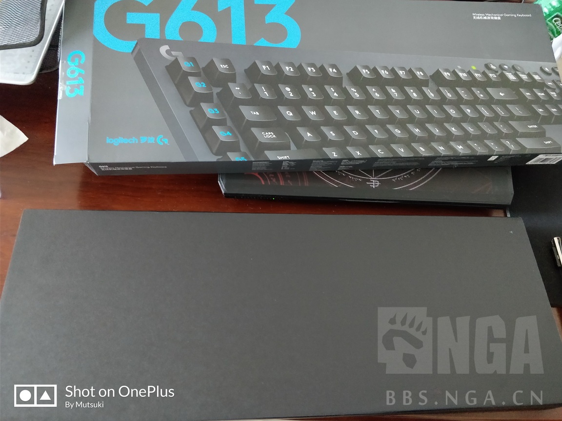 [机械键盘] [多图预警] 简评和对比两把低价无线机械键盘：罗技G613和IKBC DC-108 NGA玩家社区