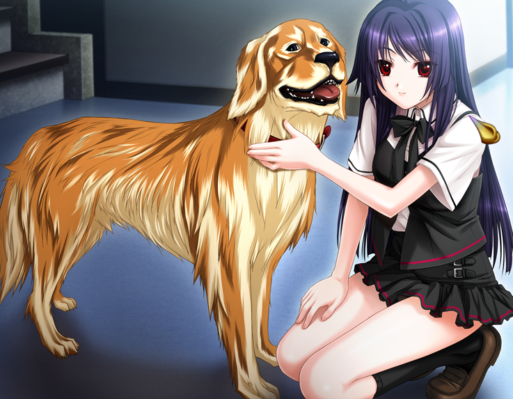 求推荐些剧情好的猎奇向galgame NGA玩家社区