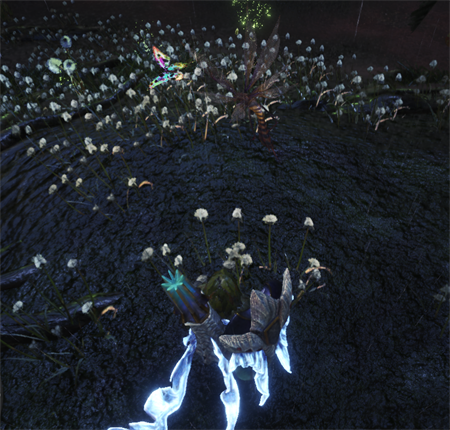 [环境生态] MHW [全]环境生物捕获手册 NGA玩家社区