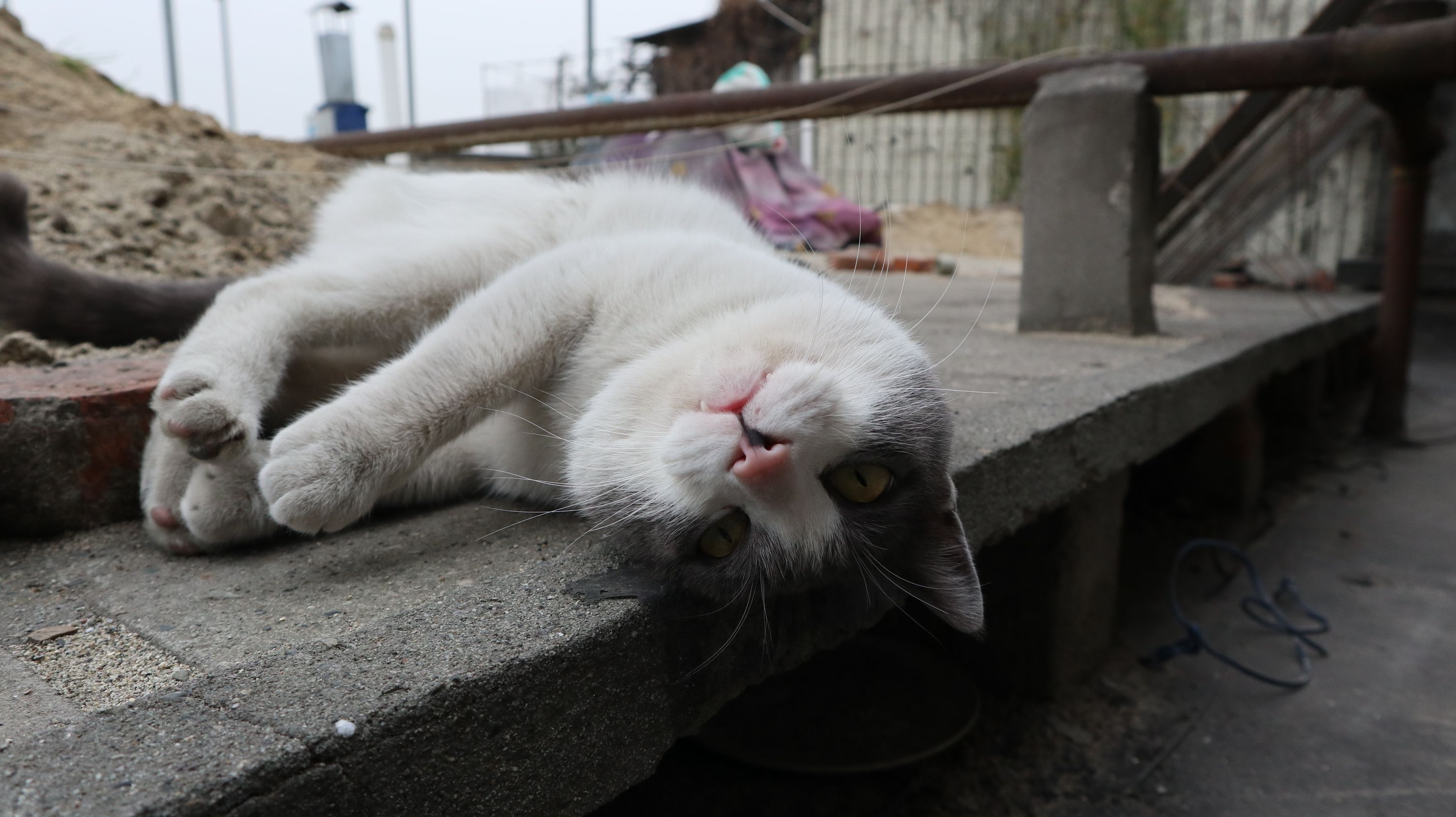 才买的佳能m5，试拍 NGA玩家社区