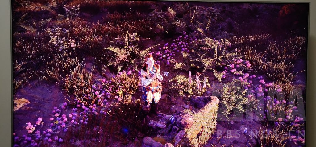 [PS4] 《地平线:零之曙光》Dlc内容时间线是本体结局之前还是之后？ NGA玩家社区