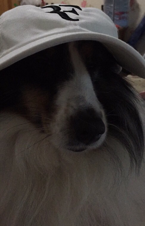 大家都在秀抽卡我就秀下头像框吧 NGA玩家社区