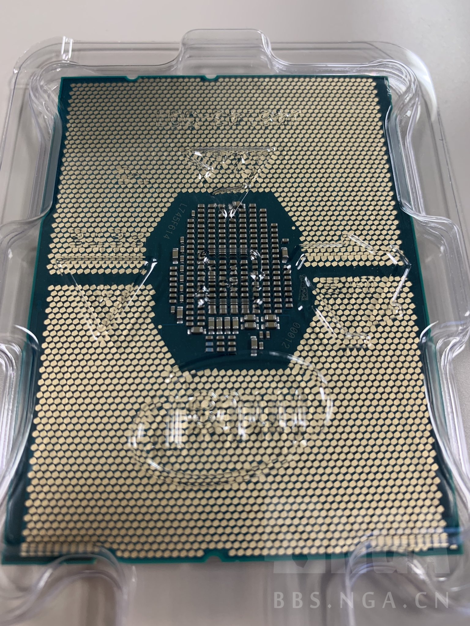 论坛 第一块XEON W-3175x开箱？？？ NGA玩家社区