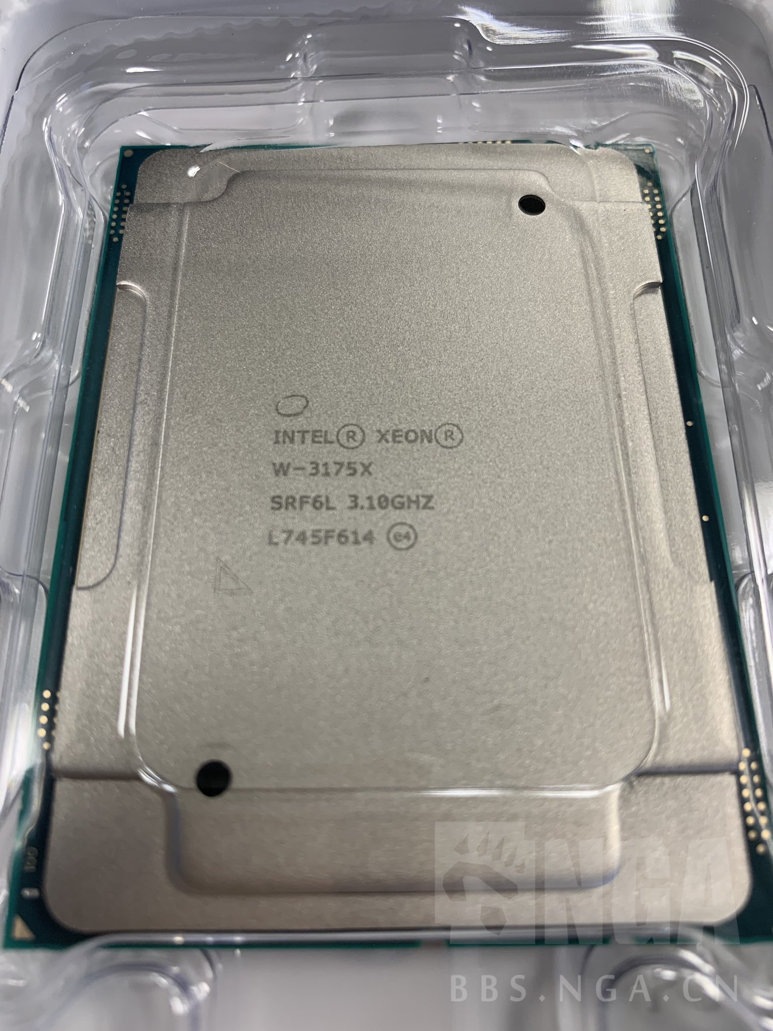 论坛 第一块XEON W-3175x开箱？？？ NGA玩家社区