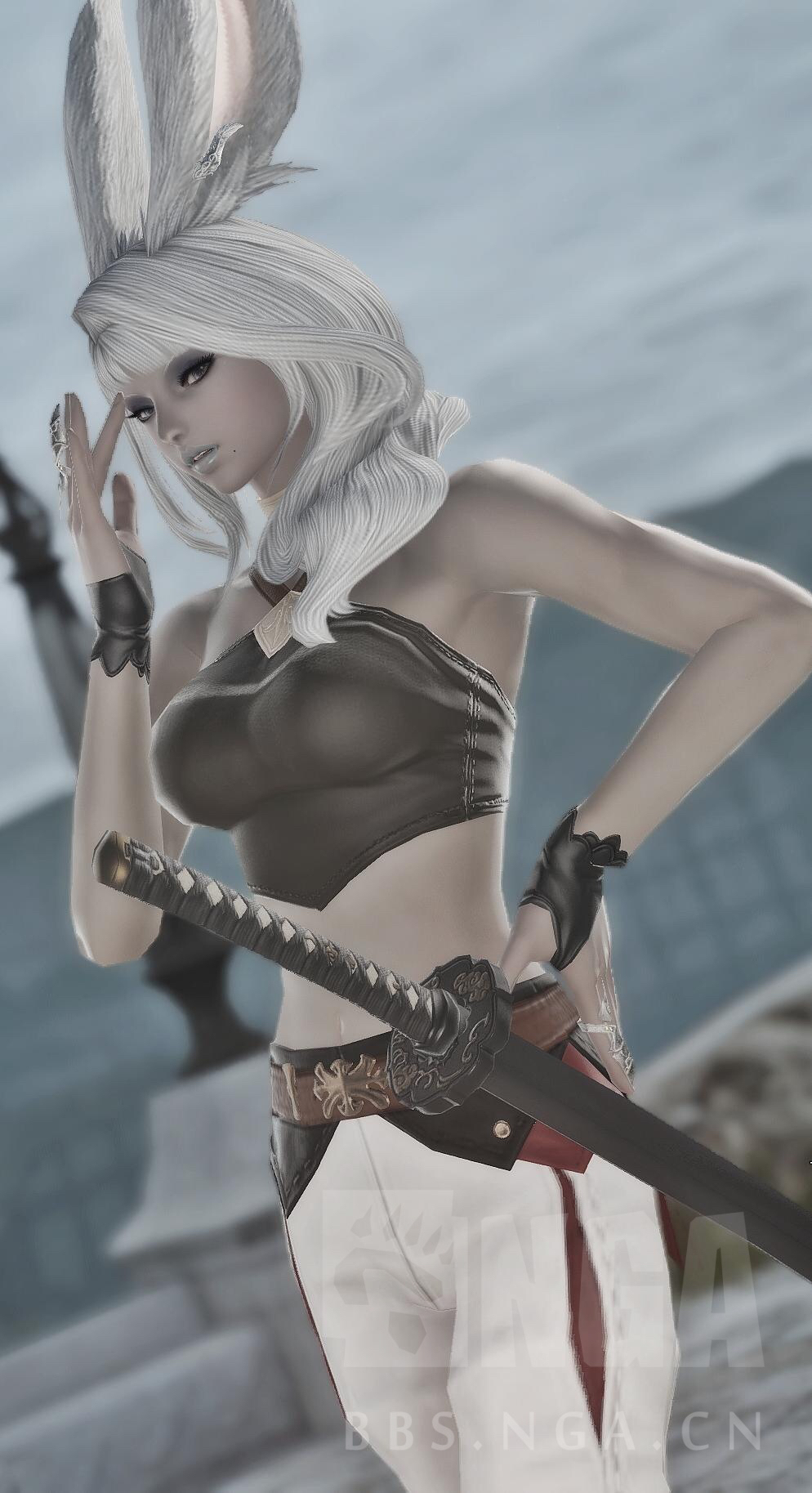 想入坑请前辈们指路orz NGA玩家社区