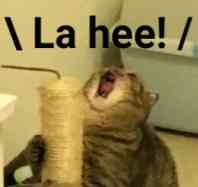 [5_0氵] 被LaHee洗脑的不能只有我一个 所以大家一起来LaHee吧 NGA玩家社区