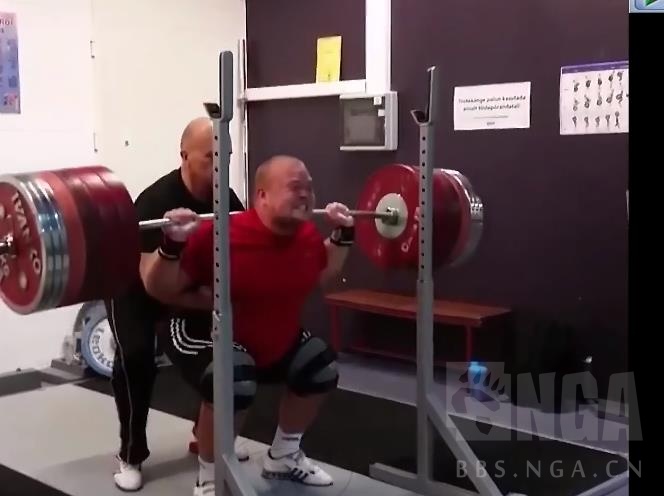 [家庭健身房] 深蹲架选购指南——从简易到全框到Yoke NGA玩家社区