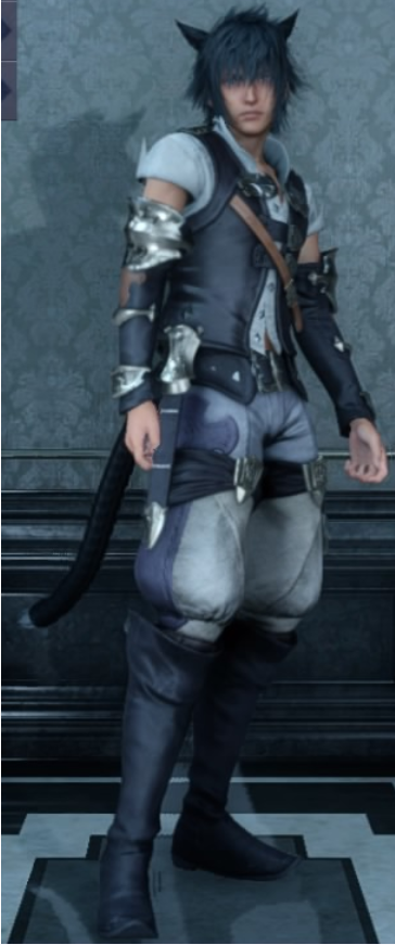 当FF15的角色来到FF14，他们会选择当哪个种族？官图瞩目 NGA玩家社区