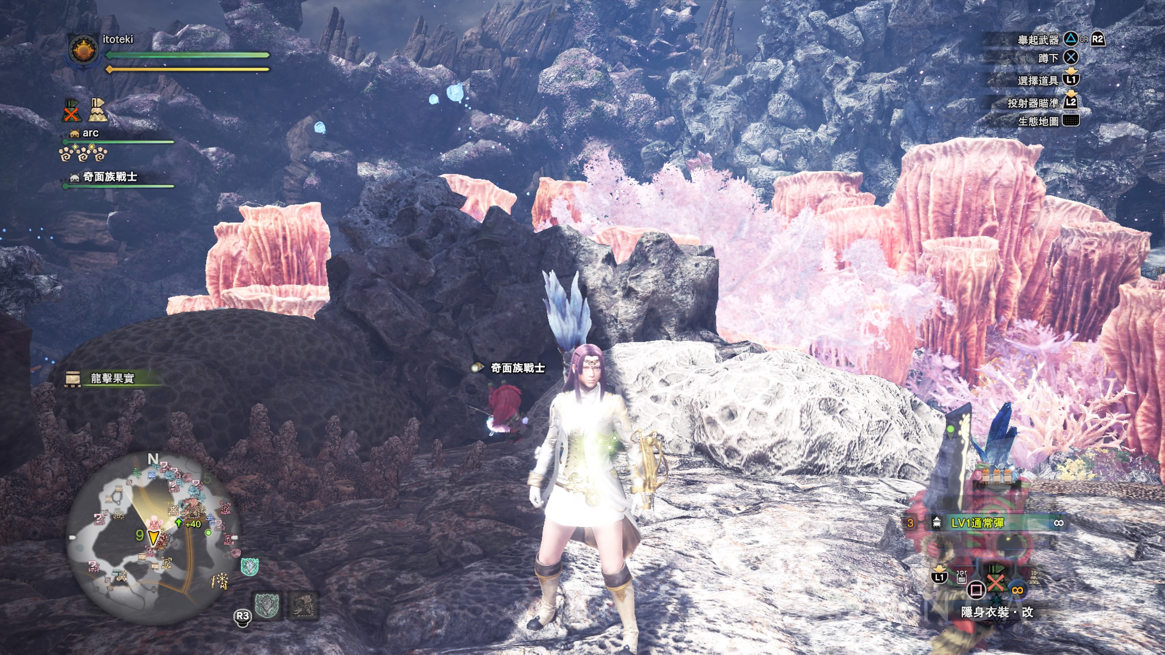 [MHWI] 60处宝物位置图文详解(解锁奖杯)图多流量党注意！附有冰原爬墙小技巧 178