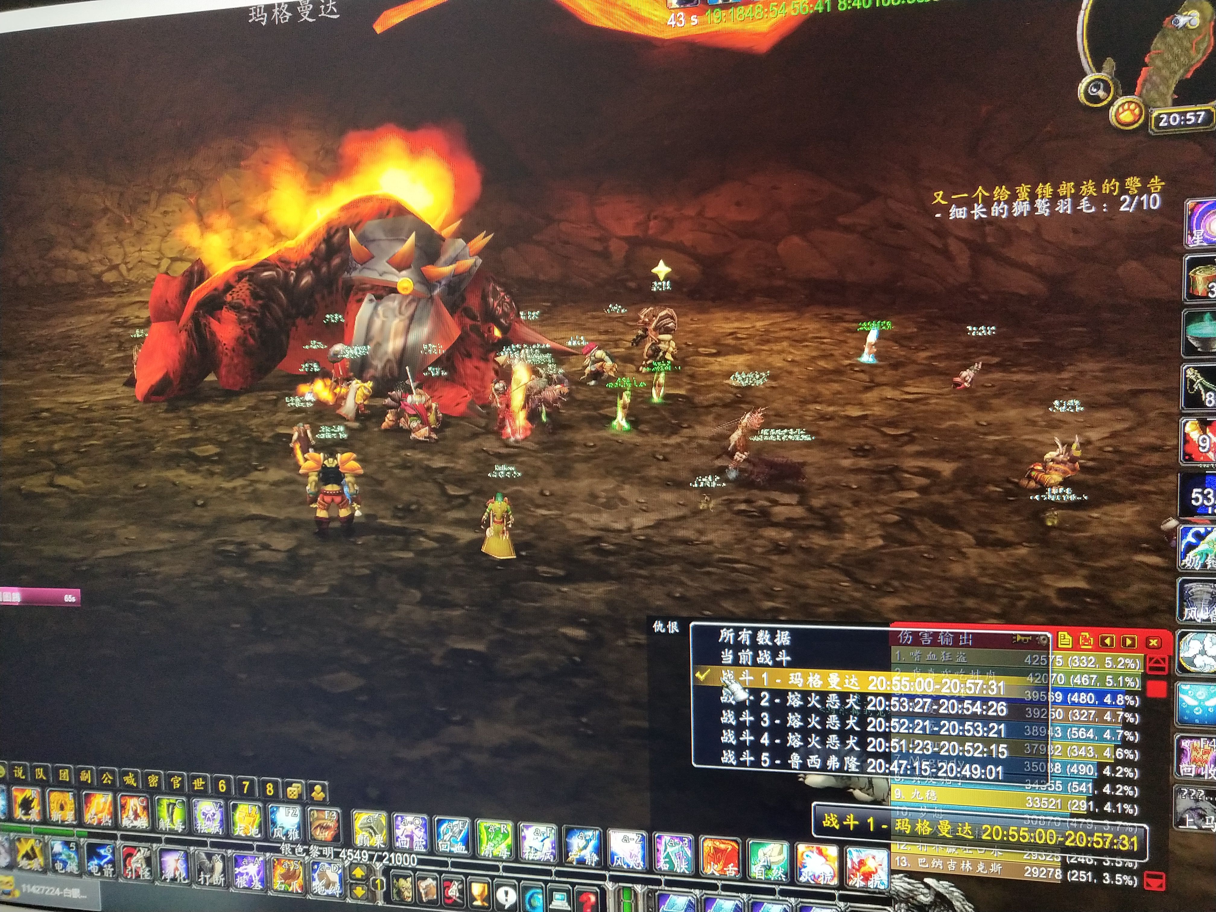 [怀旧服] [分享]增强萨满PVE攻略，RAID实战 NGA玩家社区