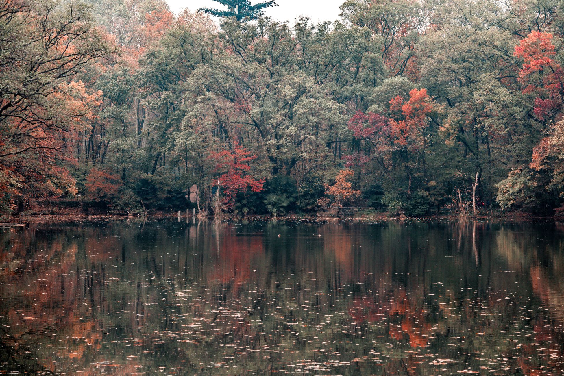 南京灵谷寺，阴天警告 NGA玩家社区