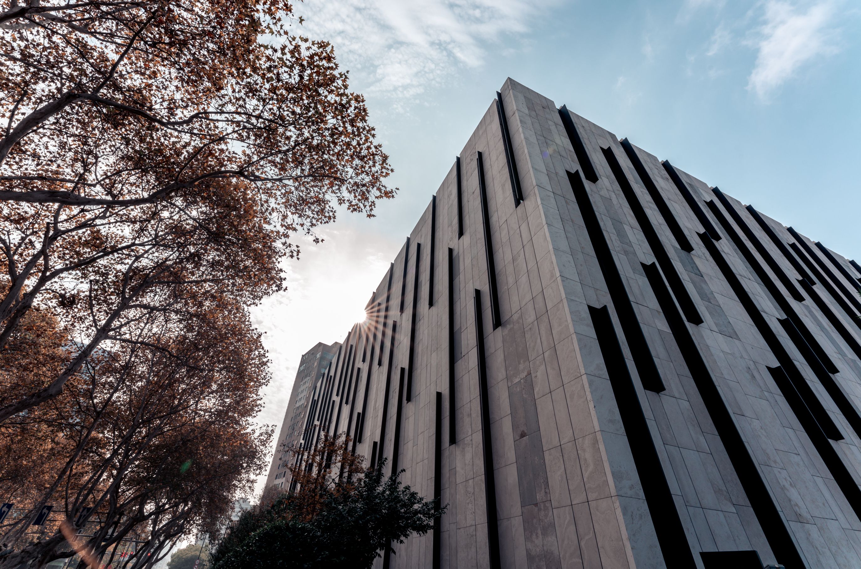 去买了适马14-24dn，拍了些图，对比了24gm确实锐度爆表，发现这种锐度高的头，就容易当饱和度战士 NGA玩家社区