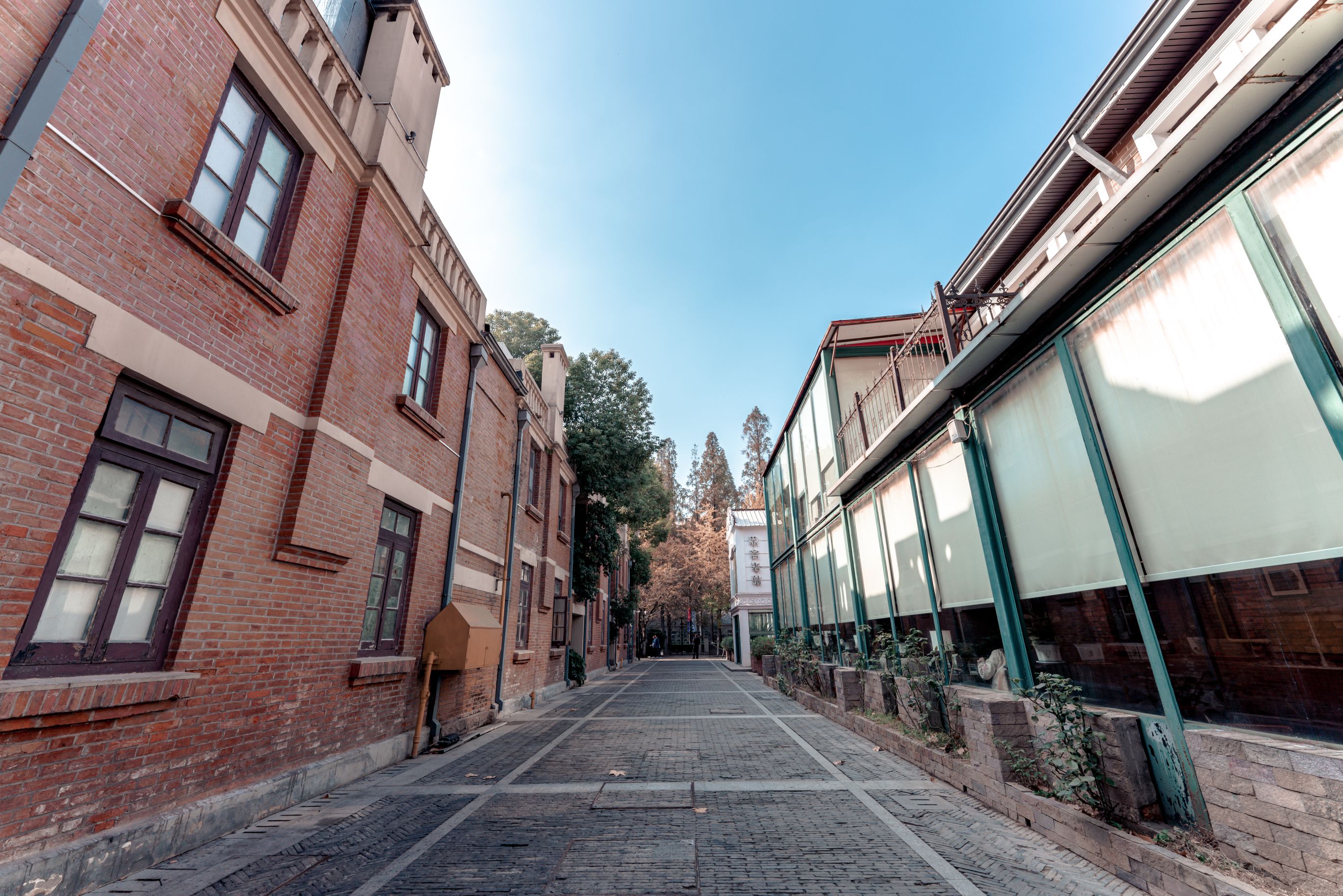 去买了适马14-24dn，拍了些图，对比了24gm确实锐度爆表，发现这种锐度高的头，就容易当饱和度战士 NGA玩家社区