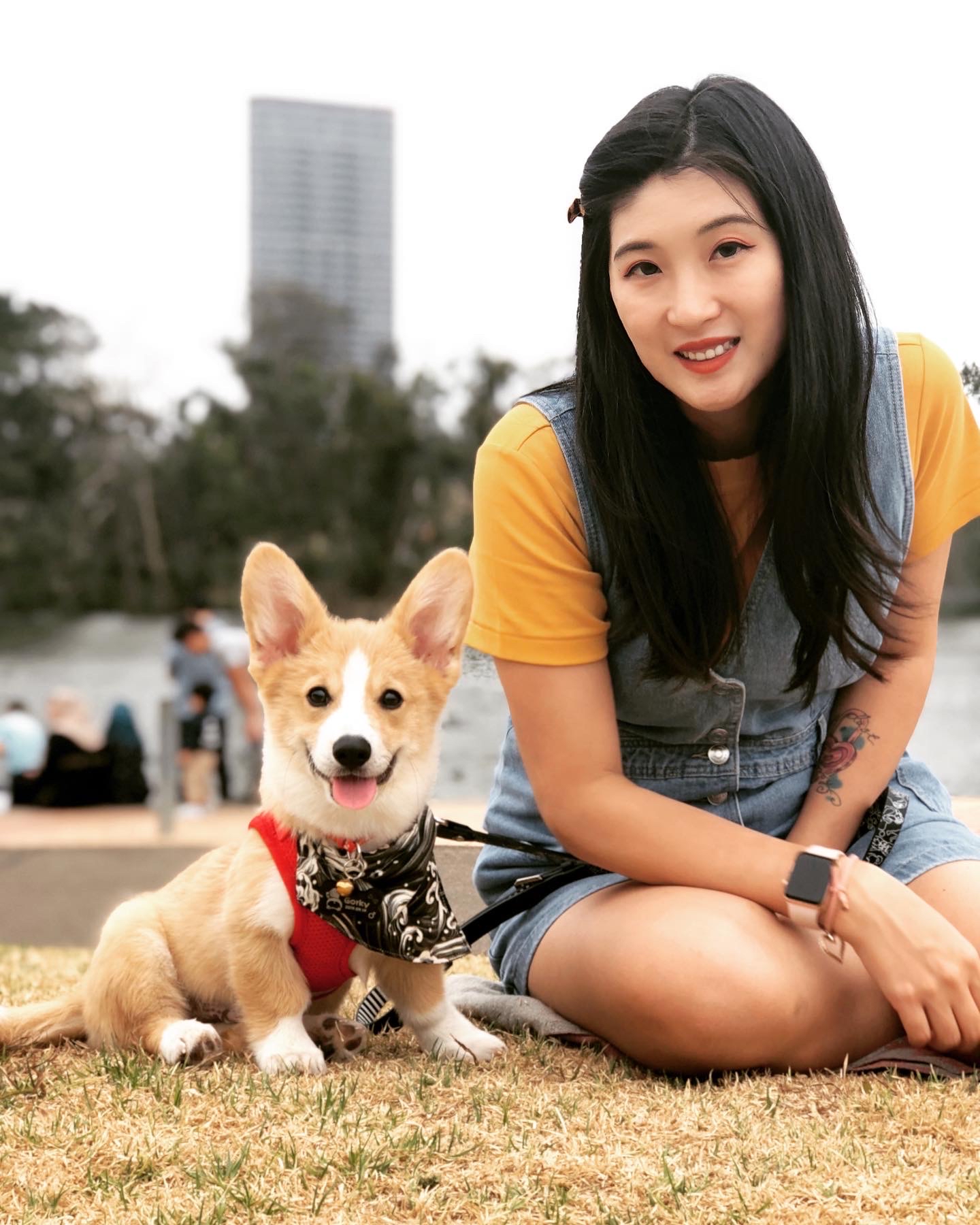 [稀有非精英] 马6 Wagon 2.5T顶配简单提车作业 NGA玩家社区