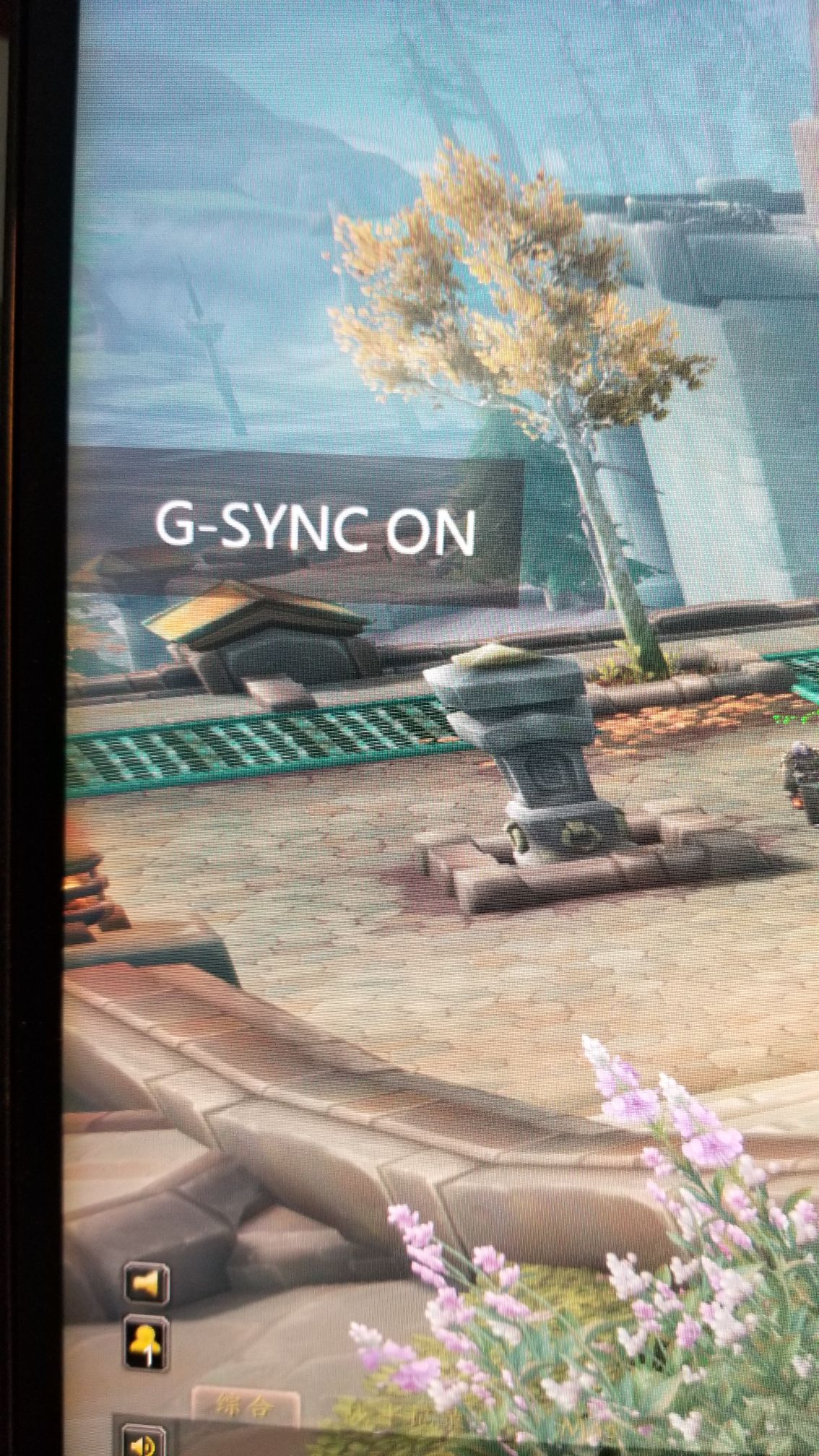 各位老铁，咋取消游戏里显示的G-SYNC标识啊？ 178