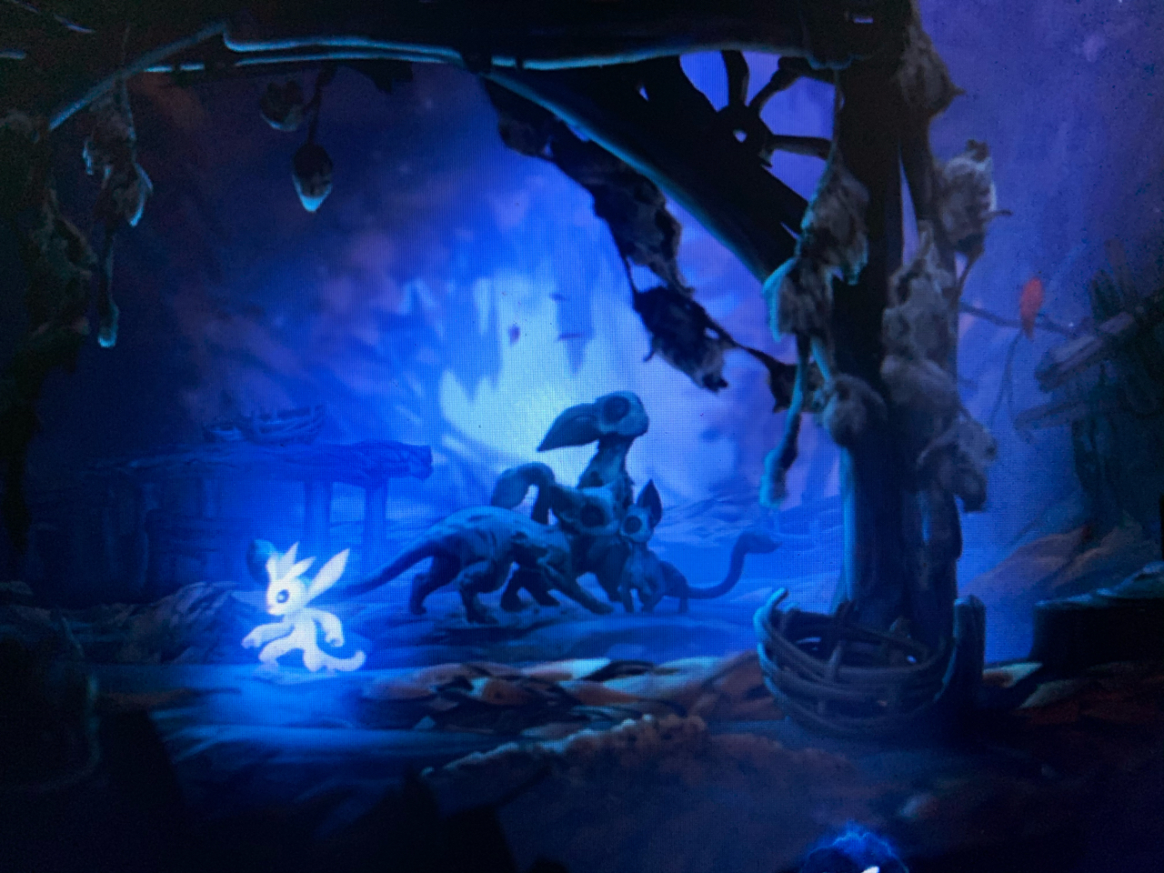 奥日2一个小支线，却让我哭了。 178