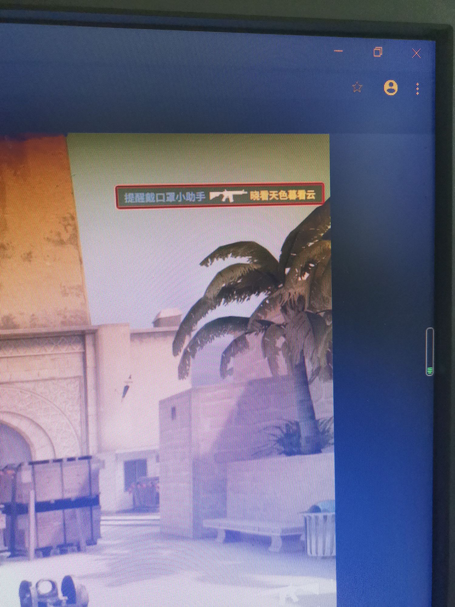 [技巧交流]火星氵网易云游戏能玩csgo了 NGA玩家社区