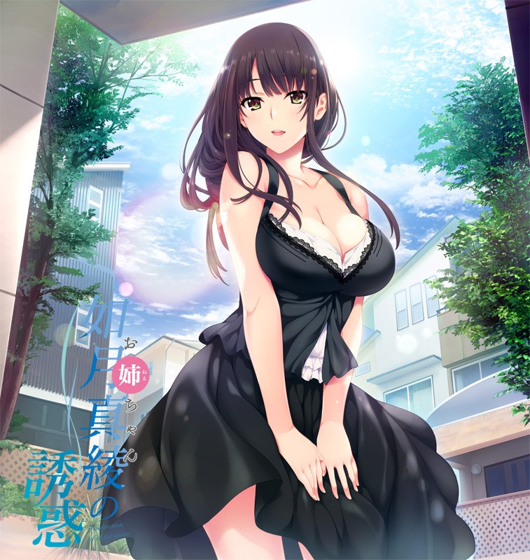[GAL GAME]近五年内有汉化gal的作品推荐—新手向 or 进阶向(上) NGA玩家社区