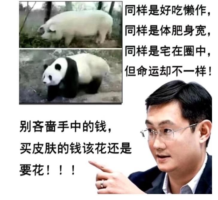 [皮肤氵]国士无双为什么是荣光皮肤 NGA玩家社区