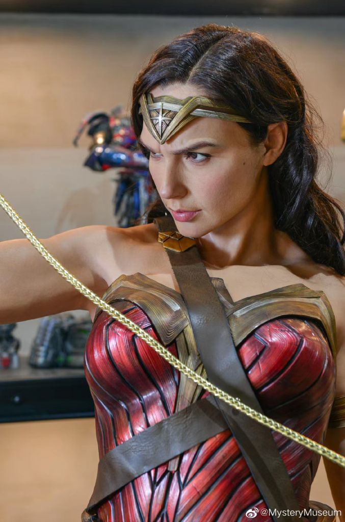 [新闻资讯] 8月发售 SHF 神奇女侠(WW84) NGA玩家社区