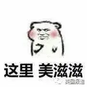 独狼盗贼T0.5的肺腑之言 NGA玩家社区