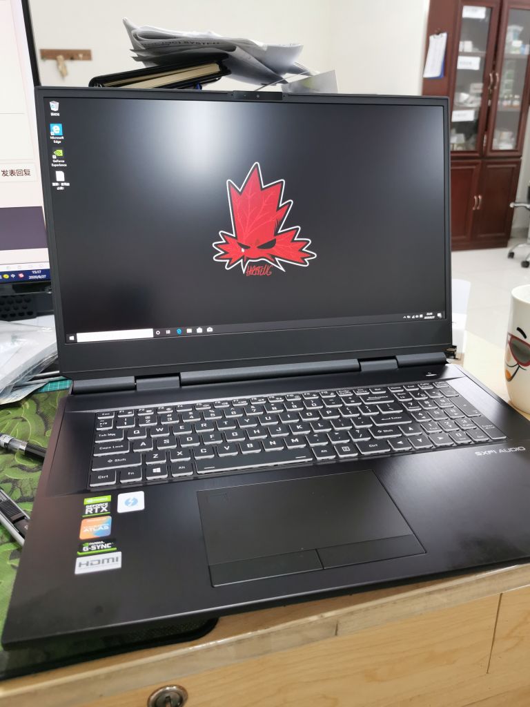 [笔记本] 不知道算不算坛内首发，蓝天准系统X170开箱和miniLED显示屏简单评测 NGA玩家社区