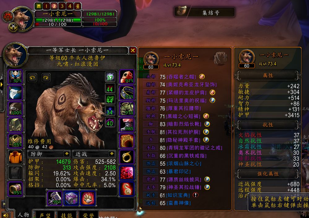 [不懂就问]熊T扛Naxx帕奇维克的配装请教 178