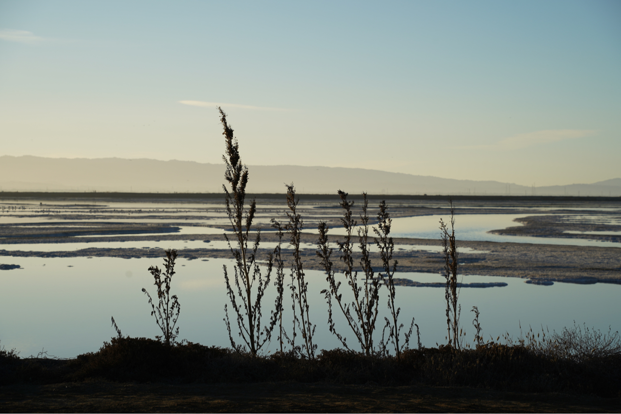索尼20G vs 24GM NGA玩家社区