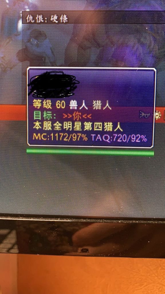 [插件讨论][举手提问]求助大佬！WCL PlayerScore插件。显示naxx评分。 NGA玩家社区