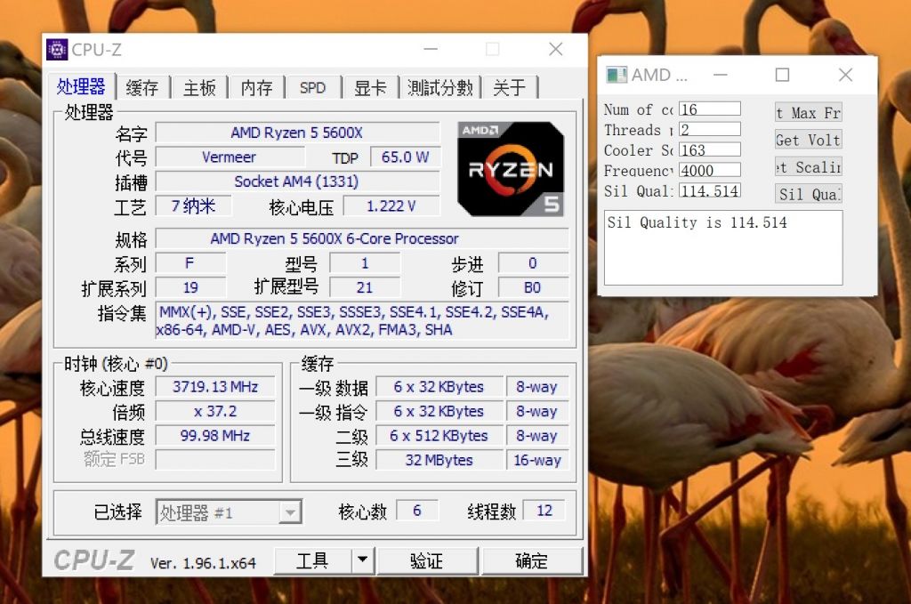 我这5600x体质有点不对劲 NGA玩家社区