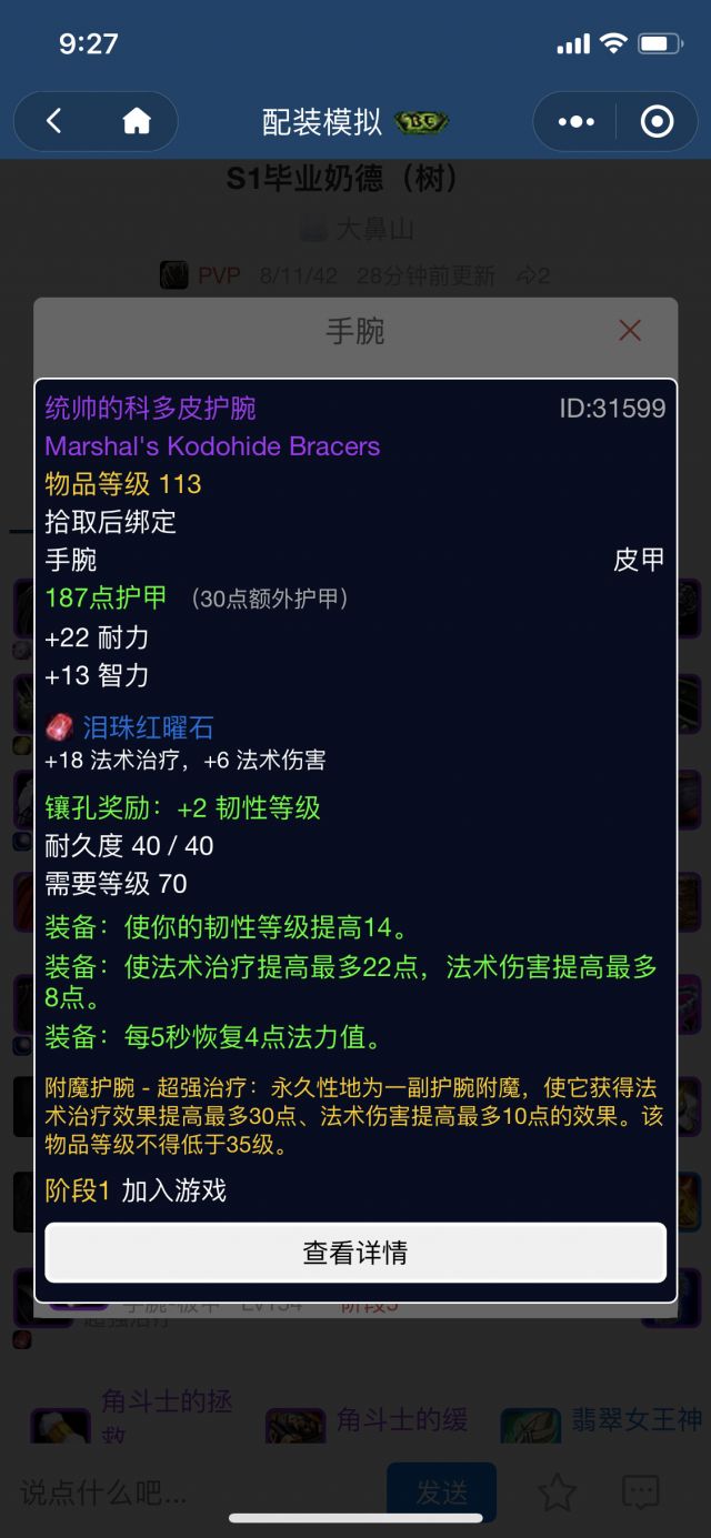 PVP-S1奶德毕业配装 NGA玩家社区