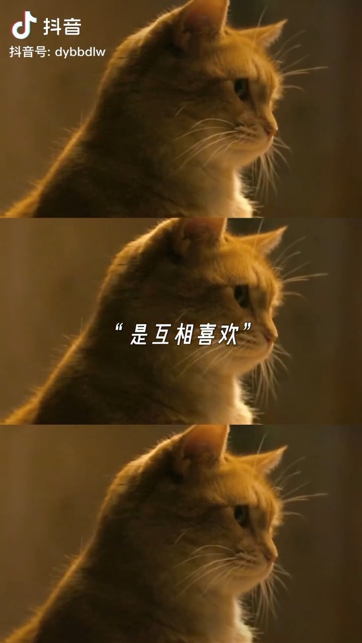 [PVE]我想给小fs的法力蚀刻头上个多彩，是秘法还是混乱给力，毕竟都不便宜 NGA玩家社区