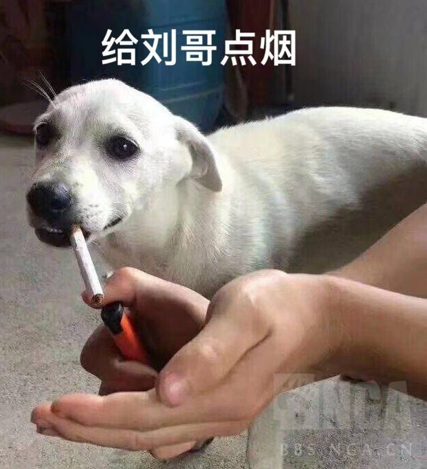 [SL][十区][影之哀伤][部落][CyLx臭鱼烂虾][20人史诗模式]名人堂：希尔瓦娜斯(部落)世界第七十一[2021/08/10] 178