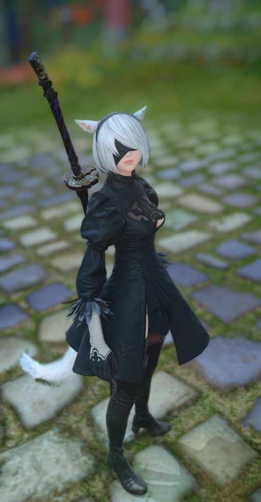 看看大伙儿的2B头猫娘 178