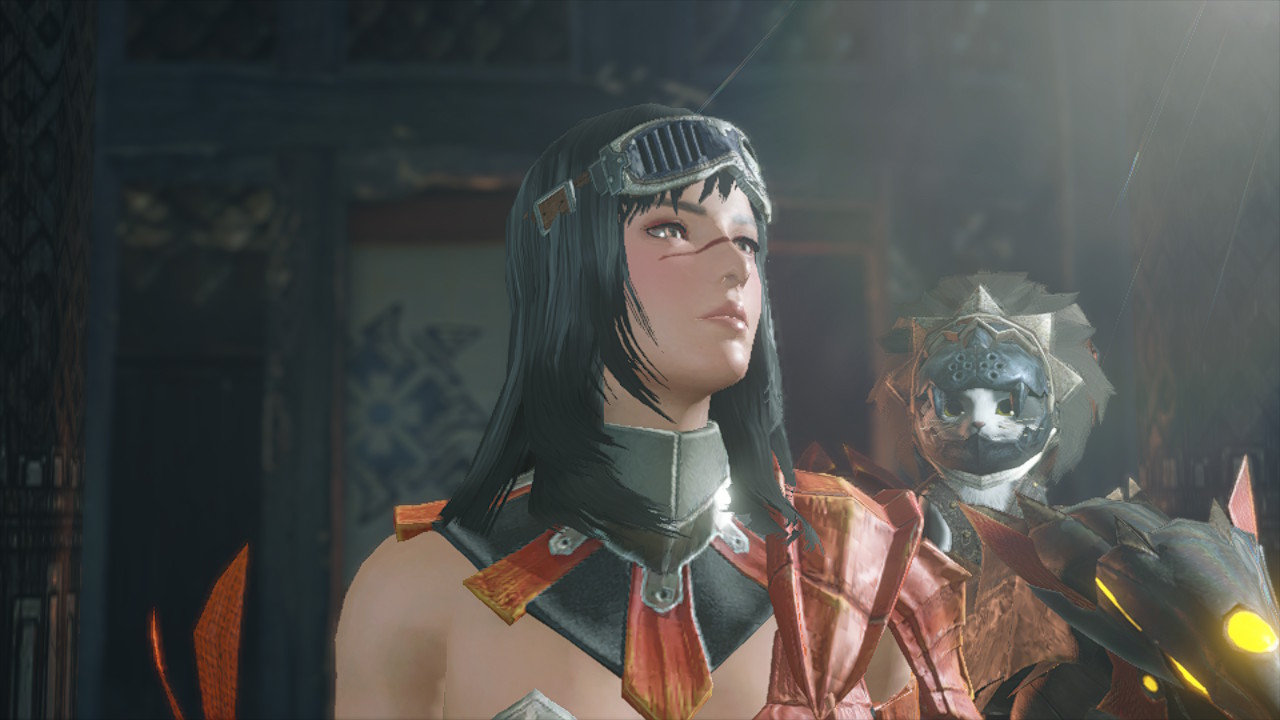 [GU/XX][吐槽]玩怪猎xx两年了，越来越绝望 NGA玩家社区